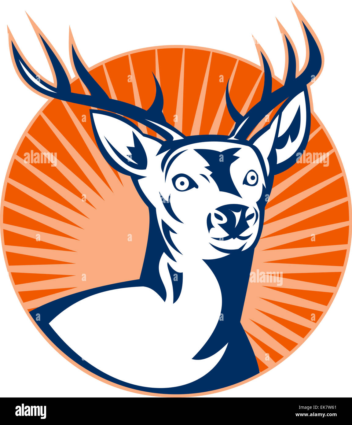 Wild deer stag buck hi-res stock photography and images - Alamy