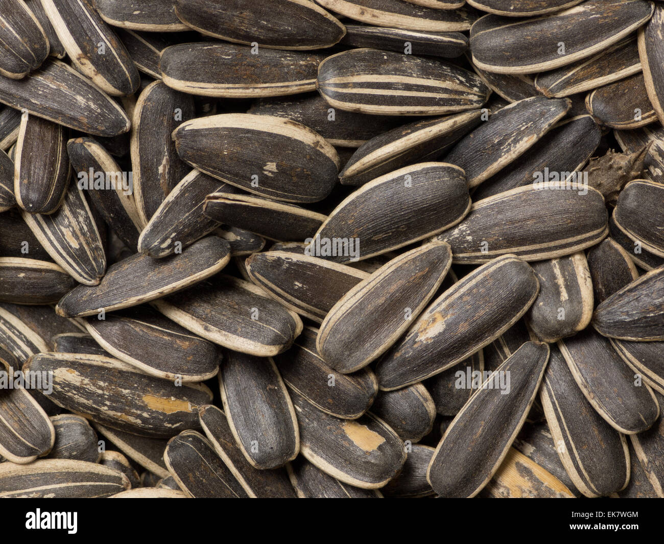 Seeds pips hi-res stock photography and images - Alamy