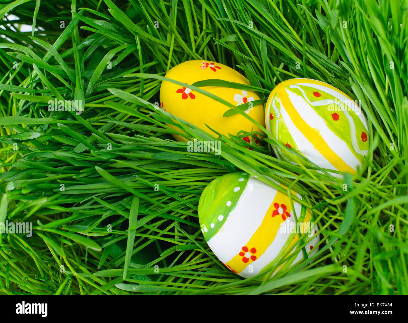 Easter eggs are colored in green spring grass Stock Photo - Alamy