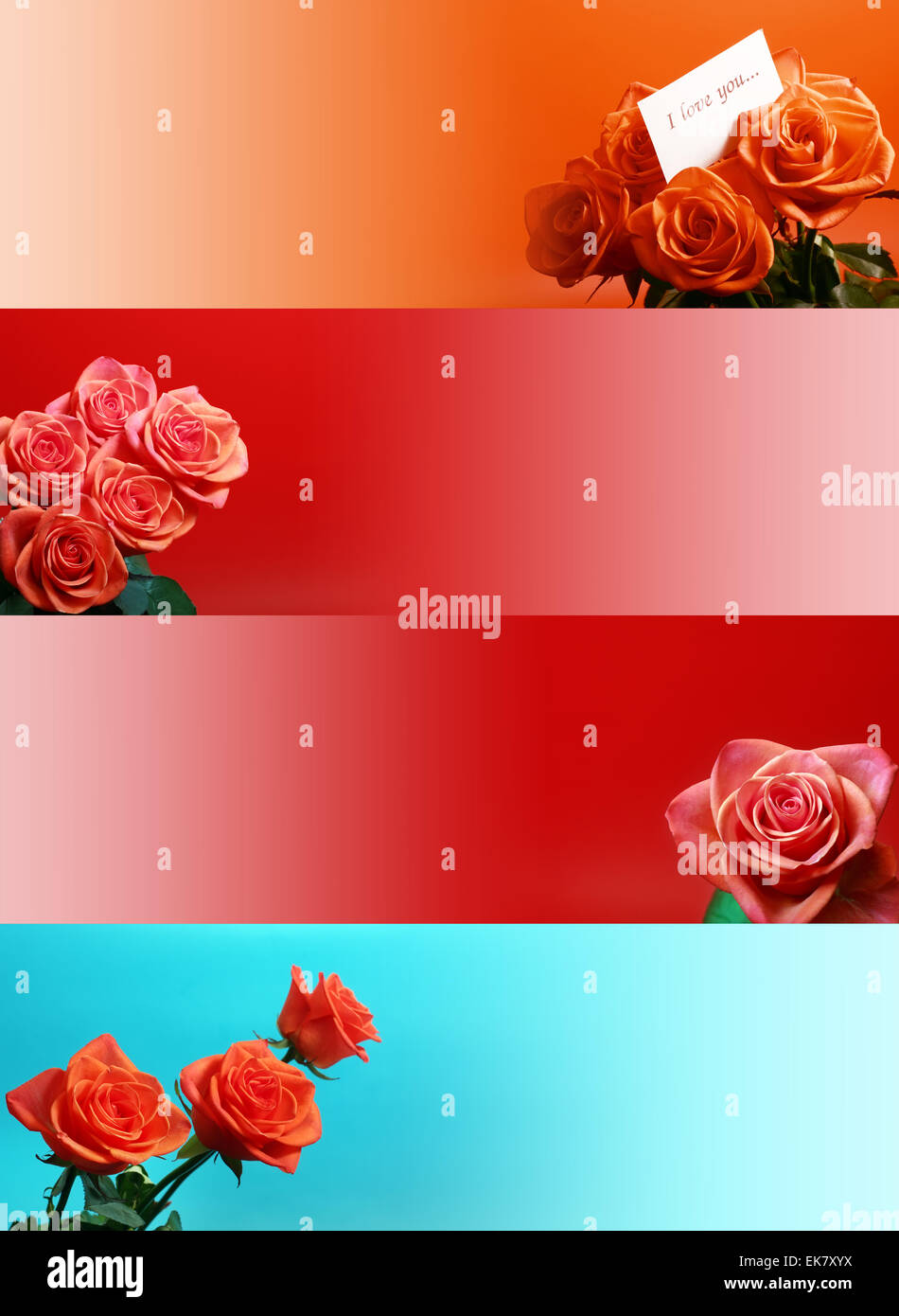 web banners with rose Stock Photo - Alamy