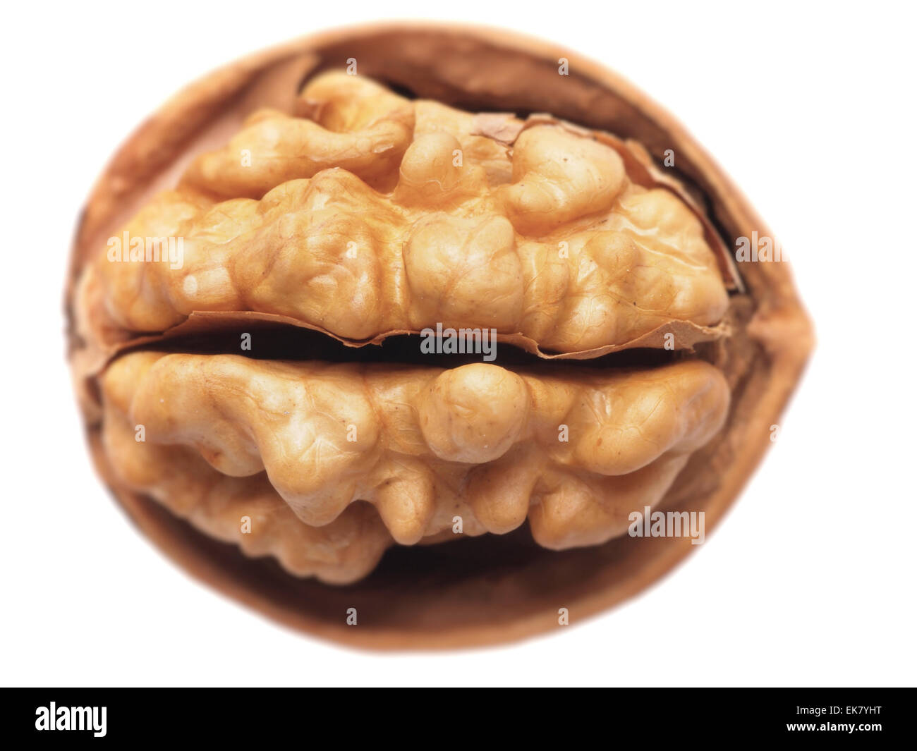 Walnut on white hi-res stock photography and images - Alamy