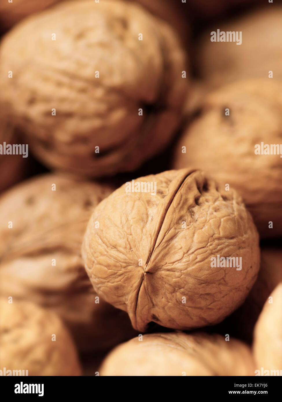 Walnuts nuts nut walnut hi-res stock photography and images - Alamy