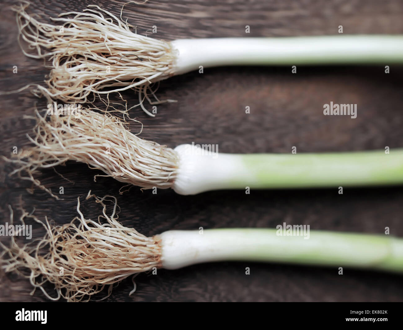 Leeks horizontal hi-res stock photography and images - Alamy