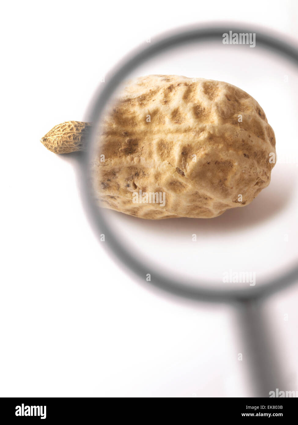 All paid hi-res stock photography and images - Alamy