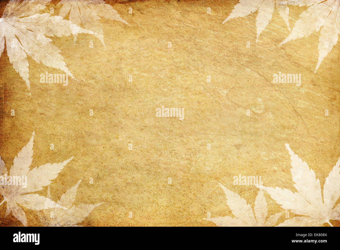 Old paper leaf texture brown hi-res stock photography and images - Alamy