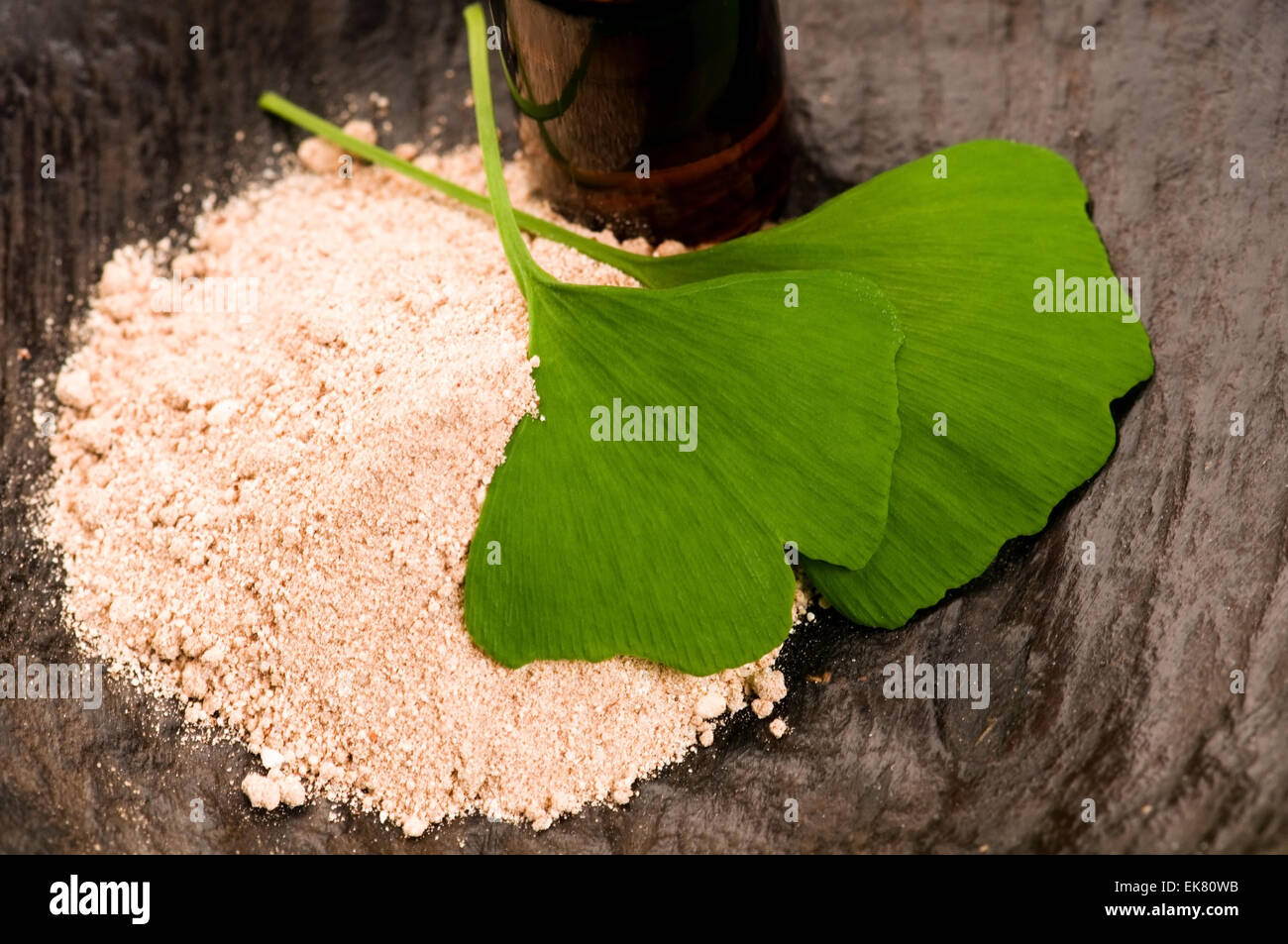 fresh leaves ginko biloba essential oil and powder Stock Photo - Alamy