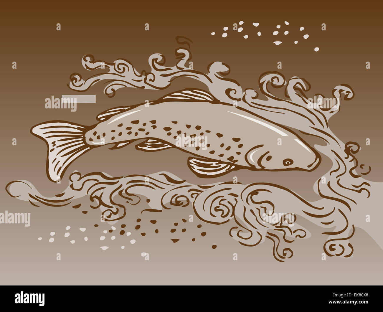 speckled trout swimming underwater Stock Photo - Alamy