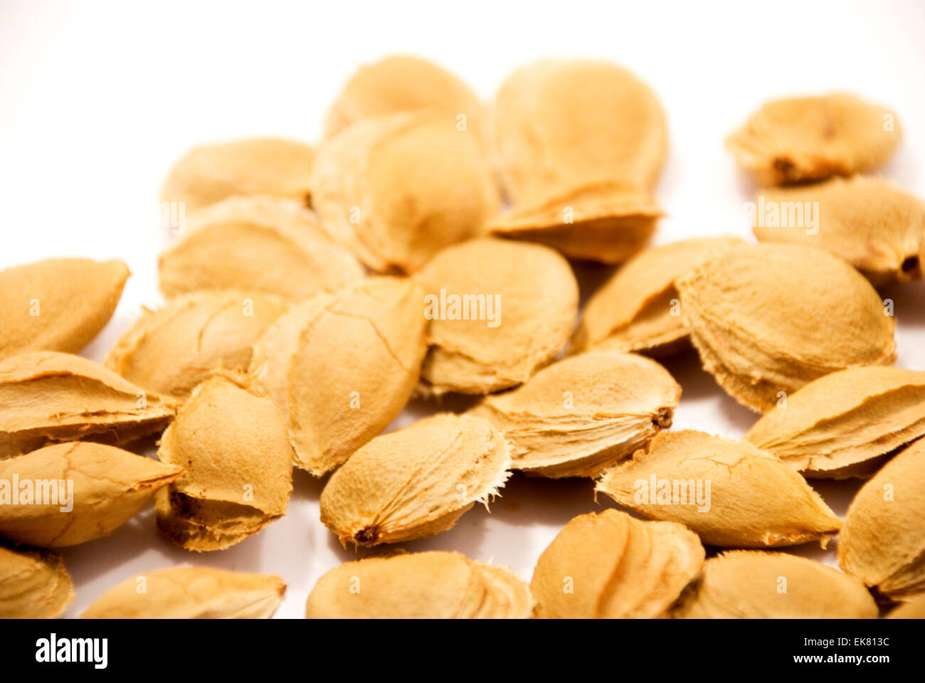 Apricot pit hi-res stock photography and images - Alamy