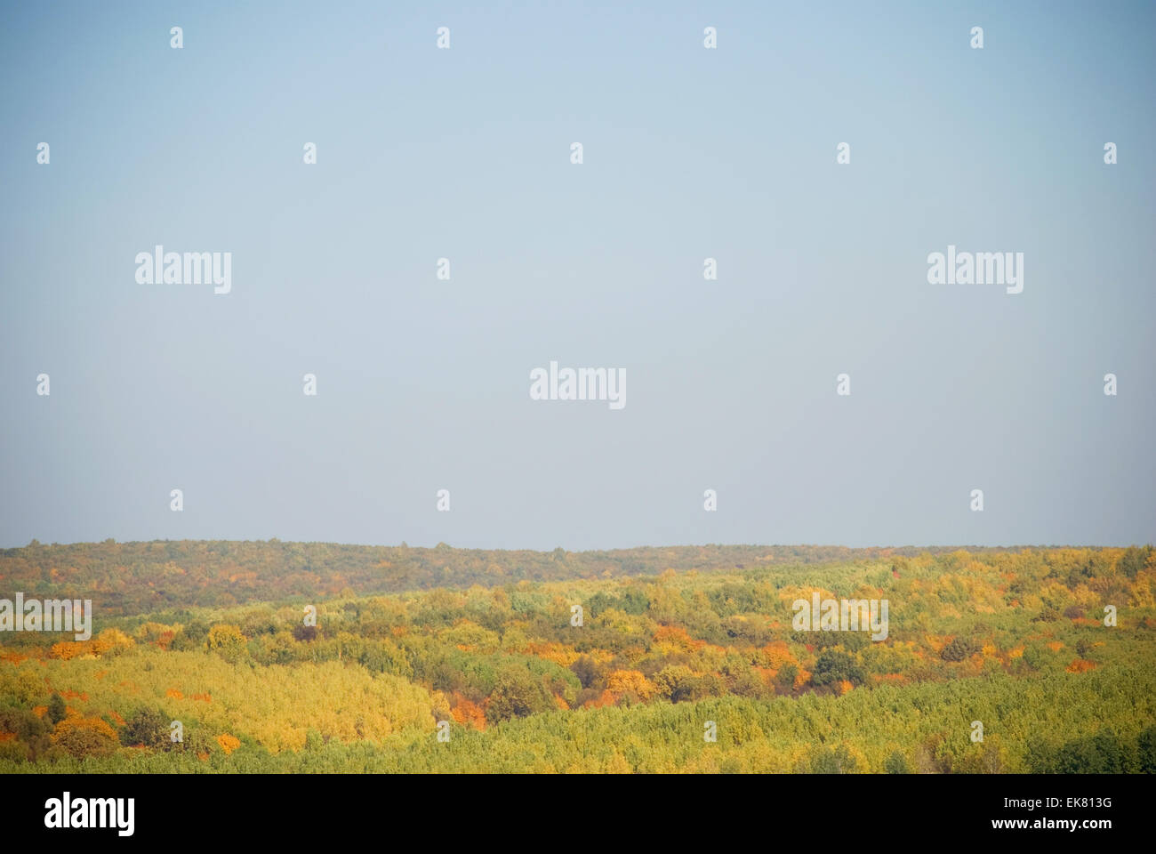 Splendid color hi-res stock photography and images - Alamy