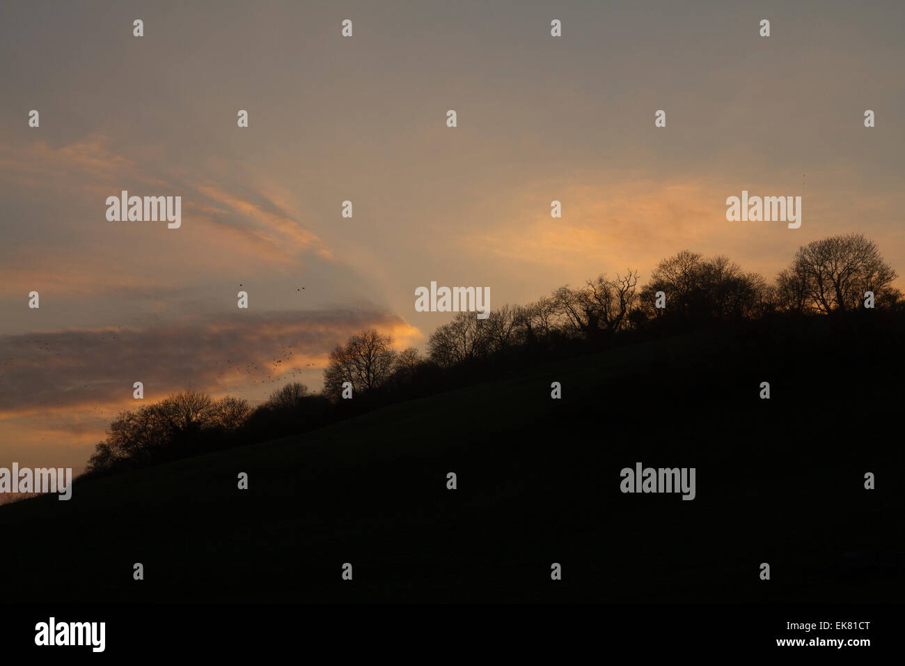 Somerset silhouette hi-res stock photography and images - Alamy
