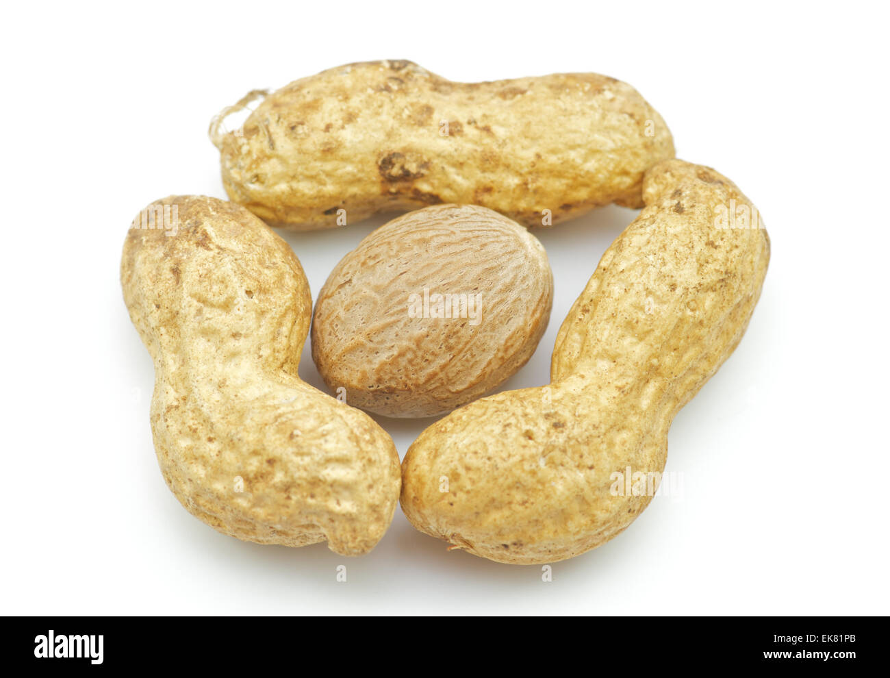 Peanut nuts in shell Stock Photo - Alamy