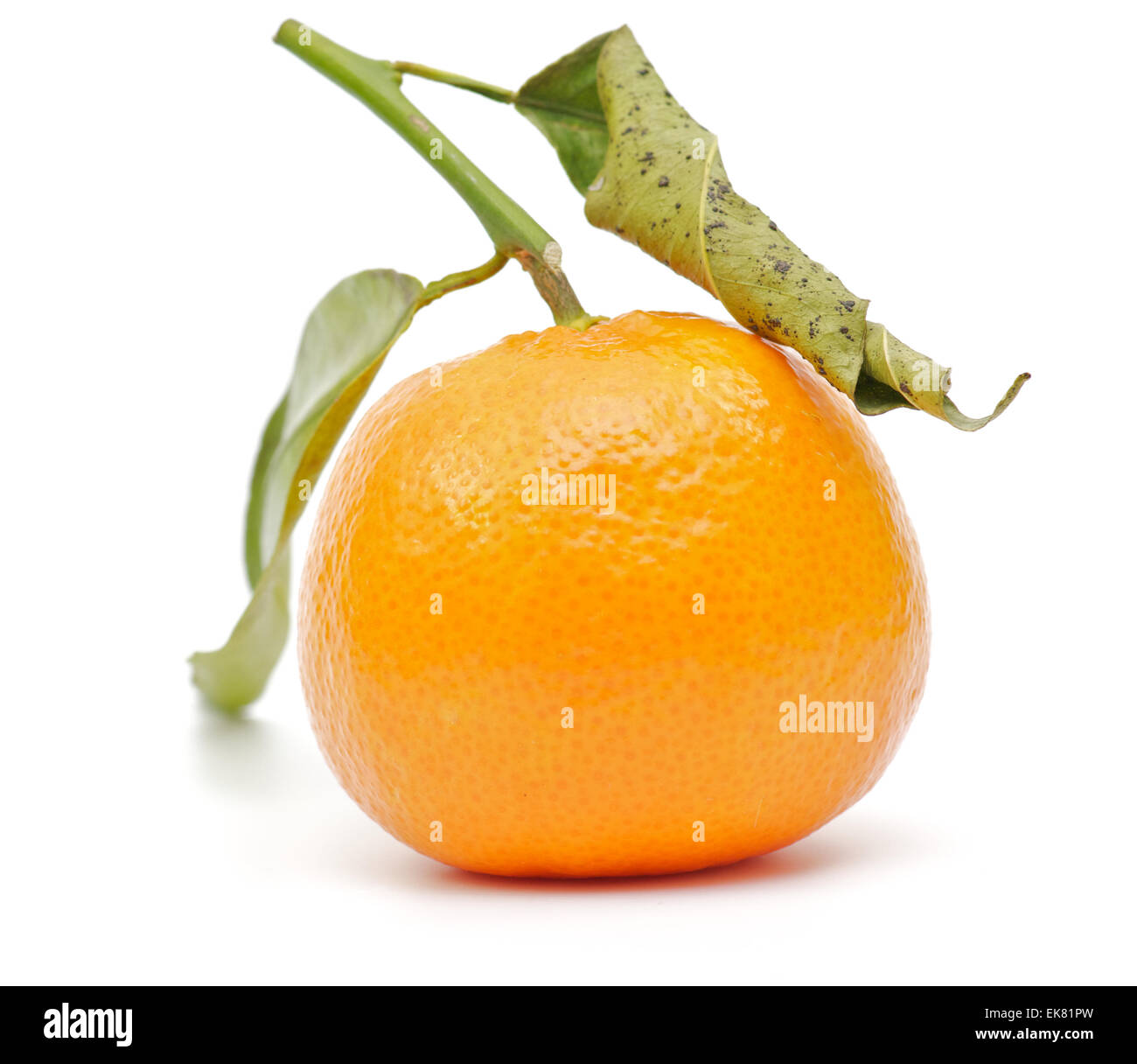 Tangerine with leaves hi-res stock photography and images - Alamy