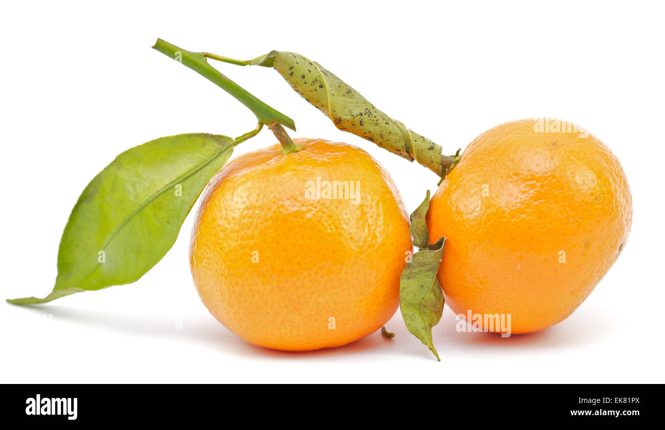 Two tangerines hi-res stock photography and images - Alamy