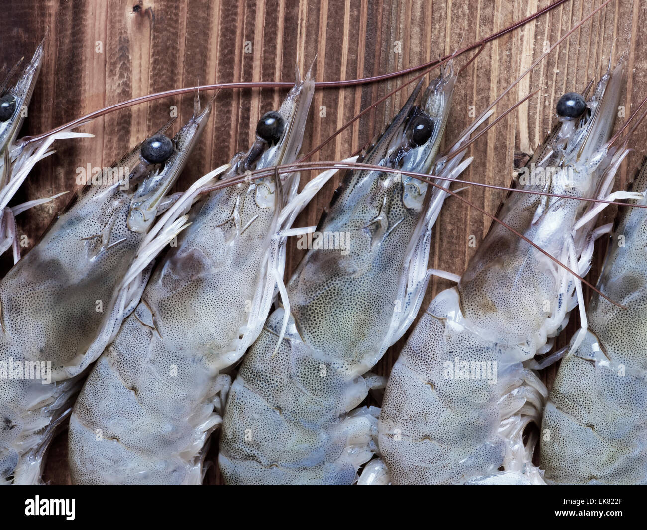 Prawn shrimps hi-res stock photography and images - Alamy