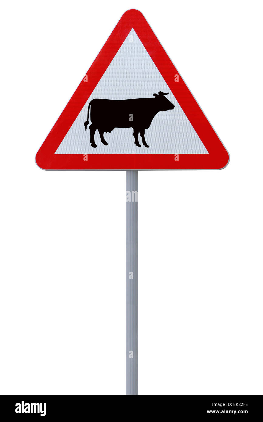 Cattle crossing sign hi-res stock photography and images - Alamy