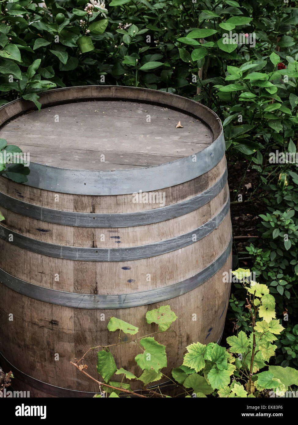 rustic wooden barrel Stock Photo - Alamy