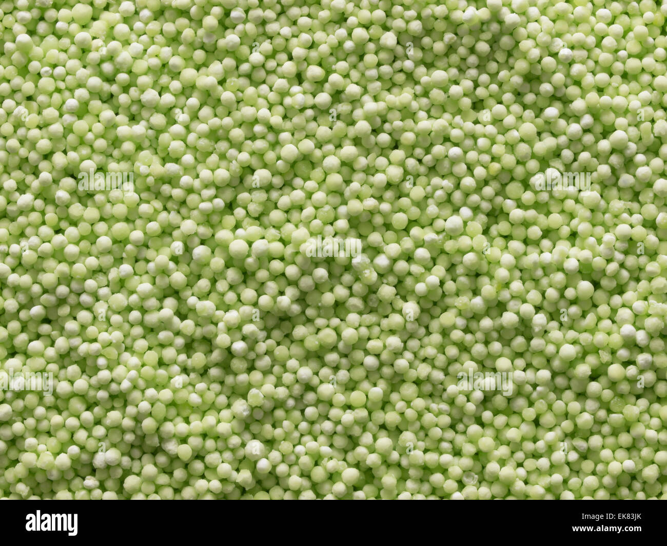 green sago pearls Stock Photo - Alamy