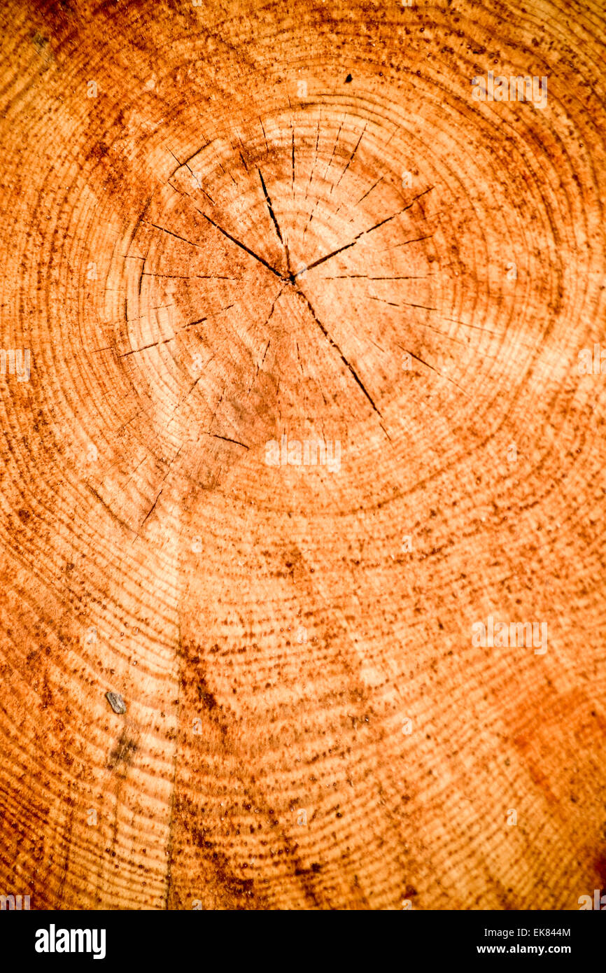 Sawn Soft Wood High Resolution Stock Photography and Images - Alamy