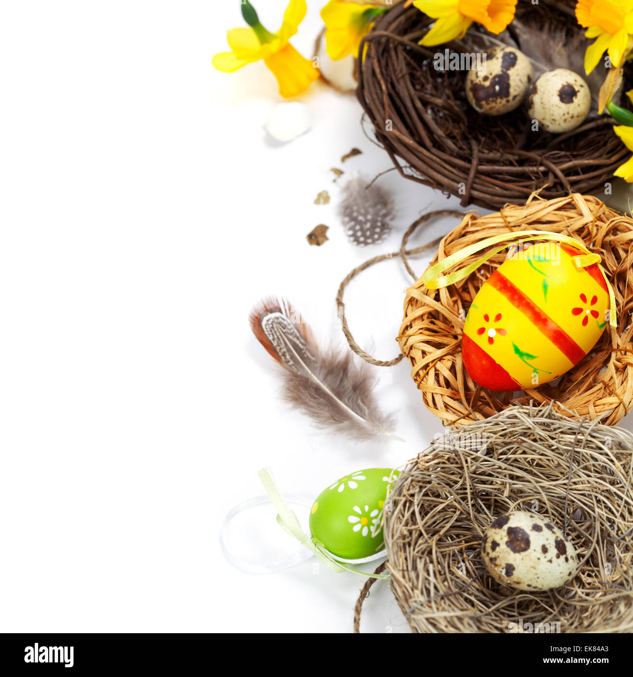 eggs in nests Stock Photo - Alamy