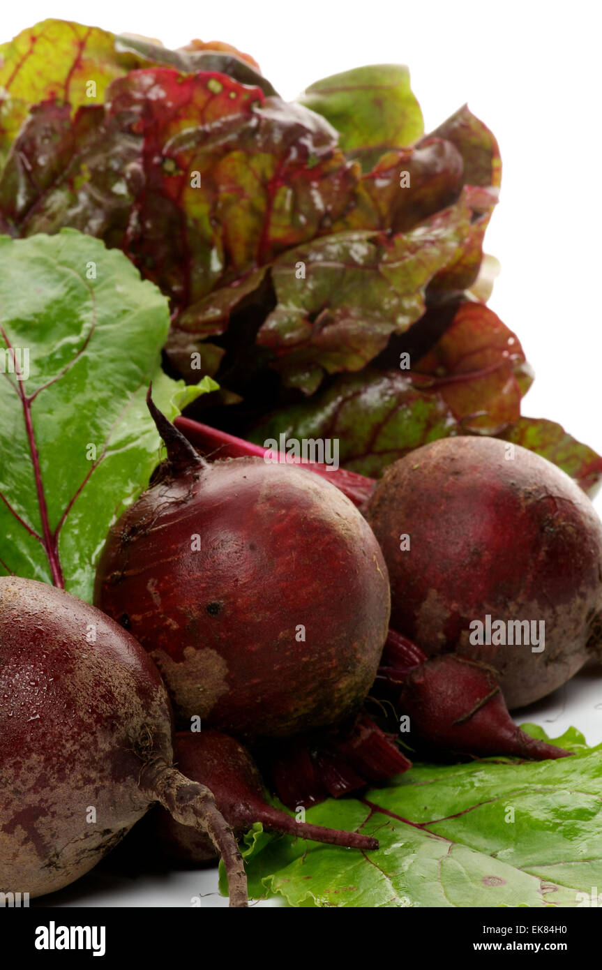 Bunch of Perfect Raw Beets and haulm Stock Photo - Alamy