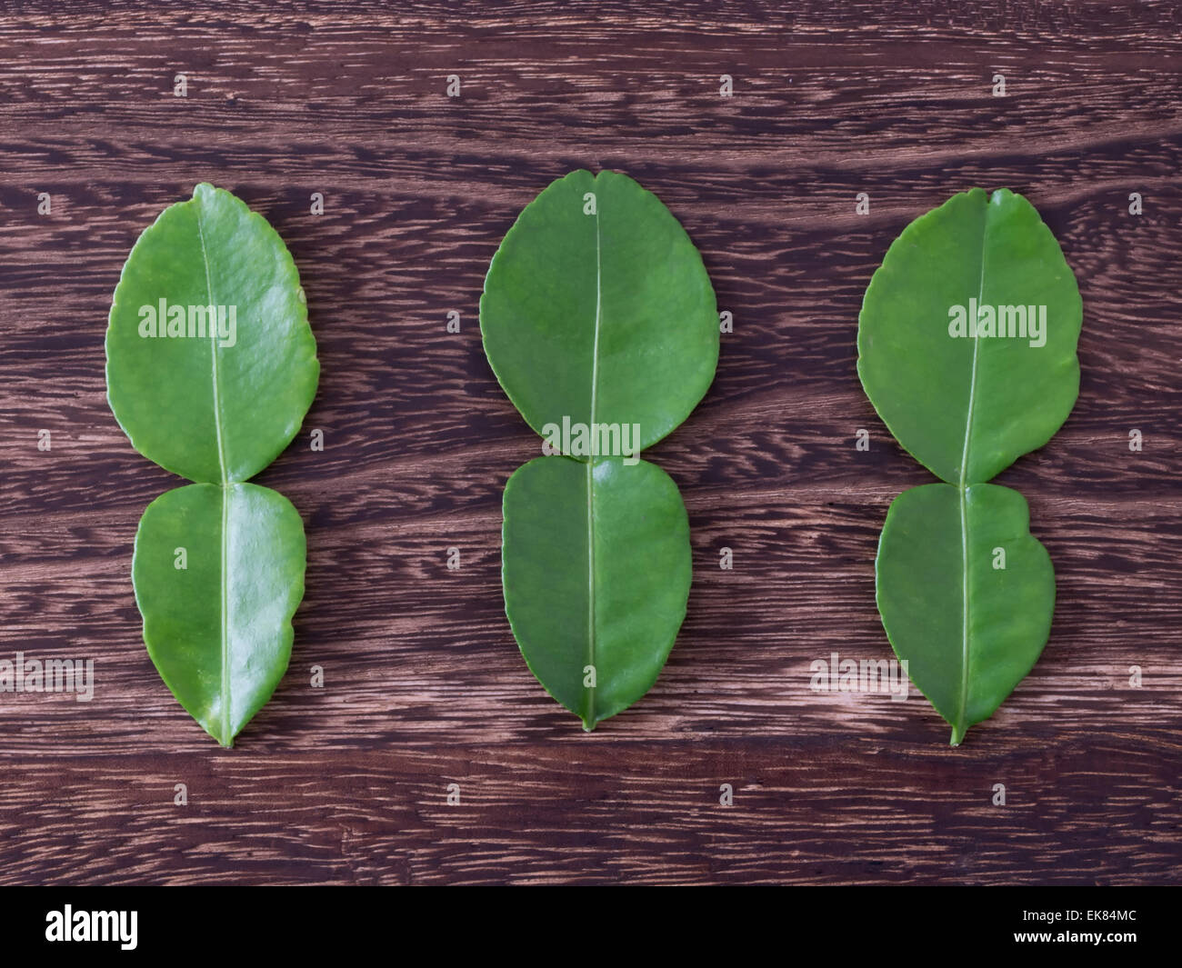 kaffir lime leaves Stock Photo - Alamy
