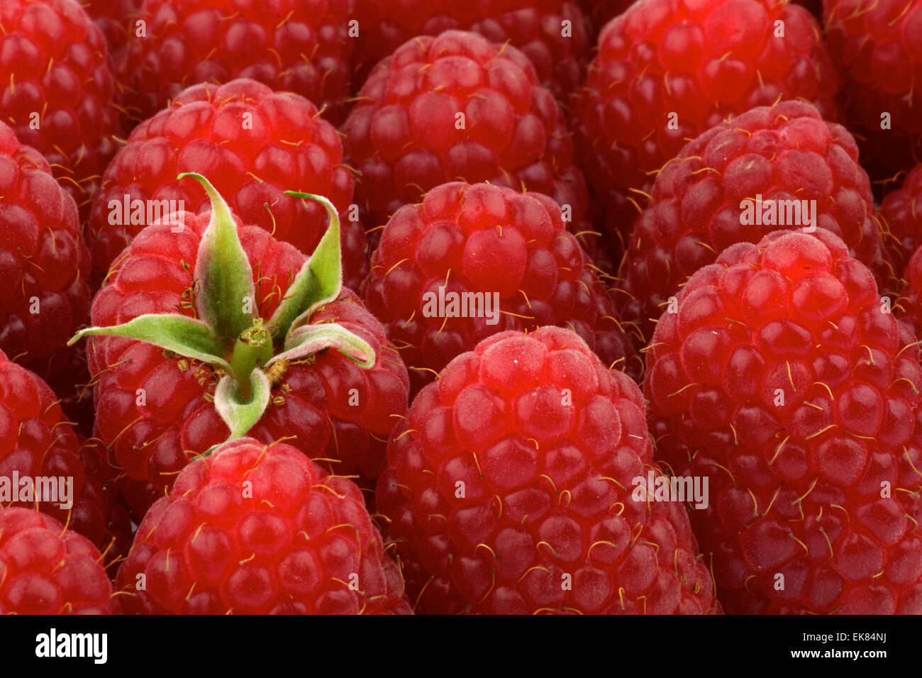 Perfect Ripe Raspberries Background Stock Photo - Alamy