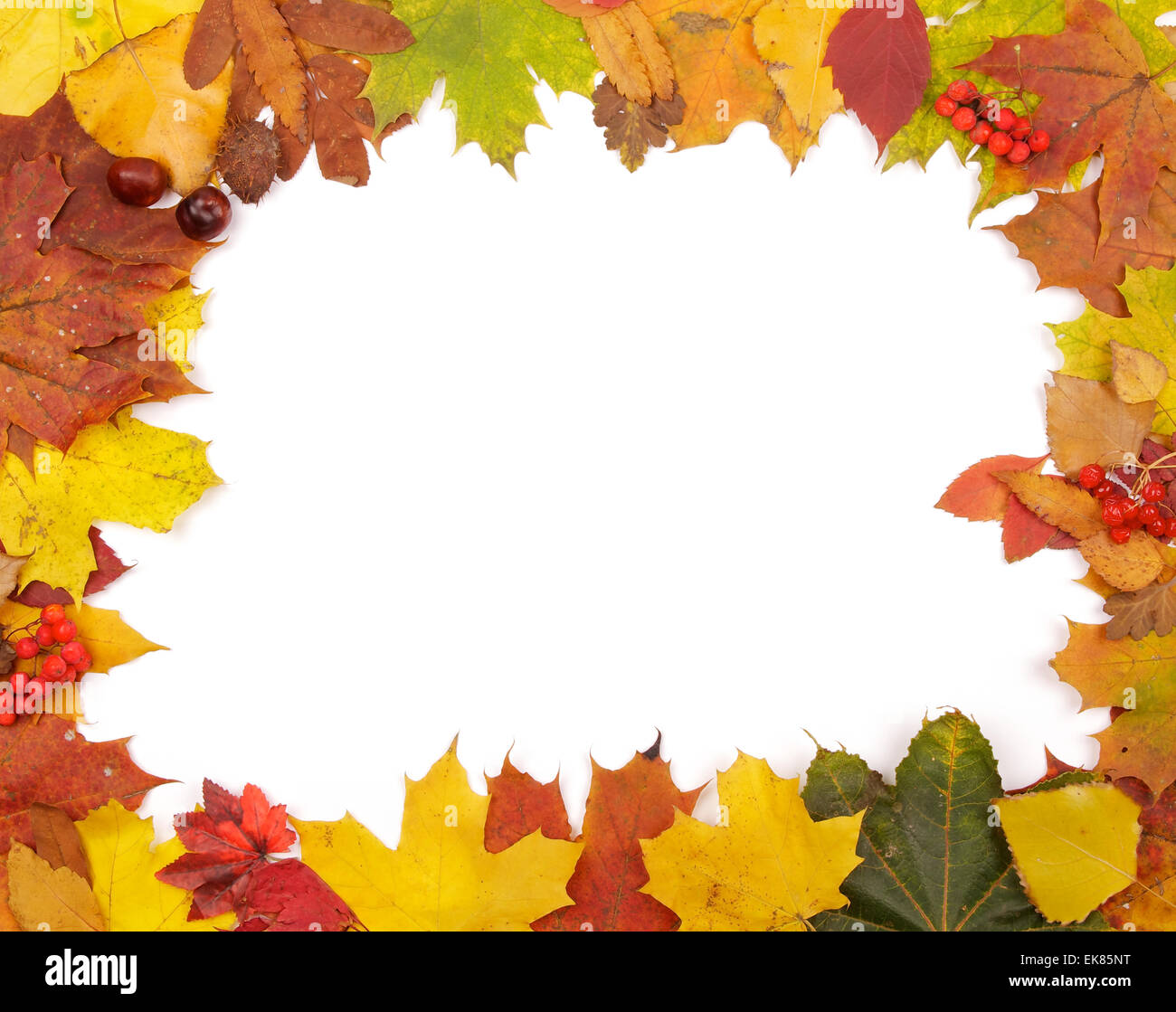 Leafs horizontal hi-res stock photography and images - Alamy