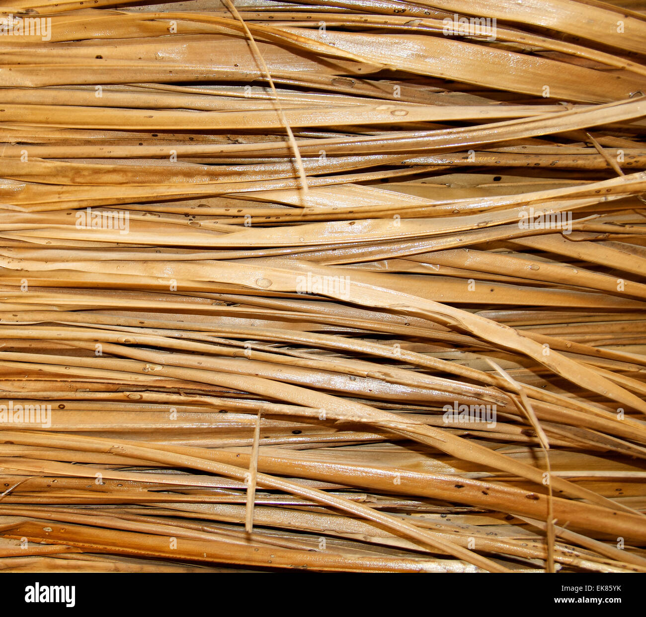 Background of palm straw covered polish Stock Photo - Alamy