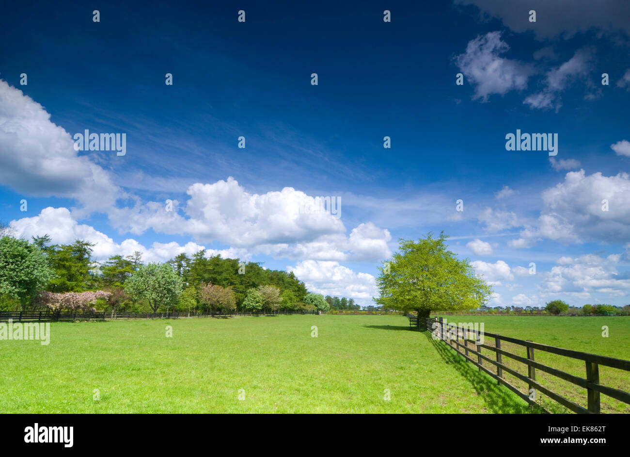 Field green hedge farm hi-res stock photography and images - Alamy