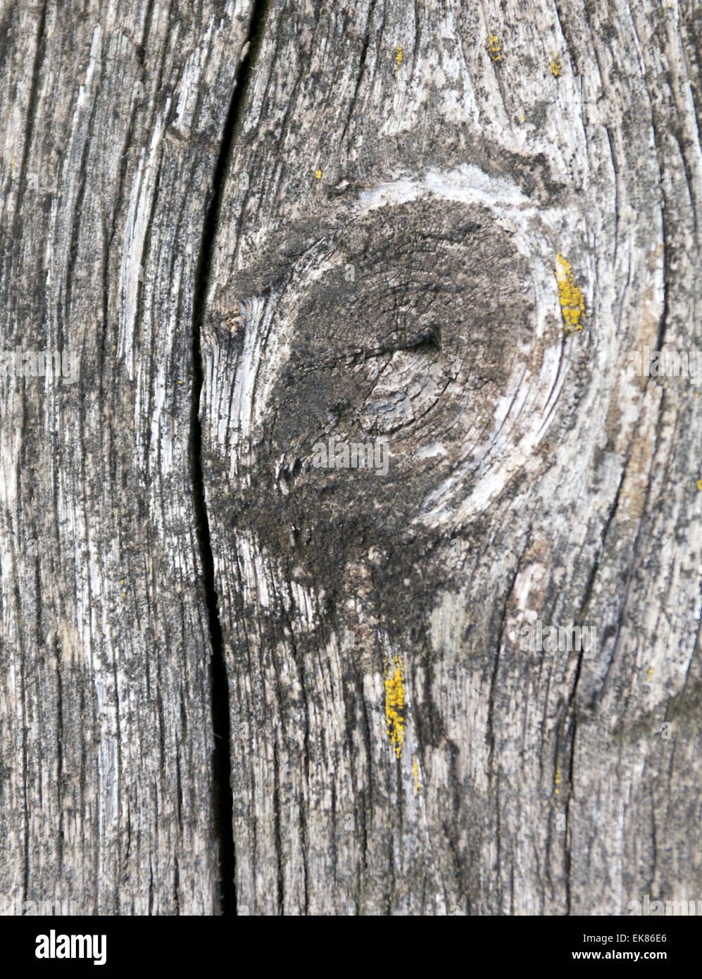 Grunge Timber Knot Stock Photo - Alamy