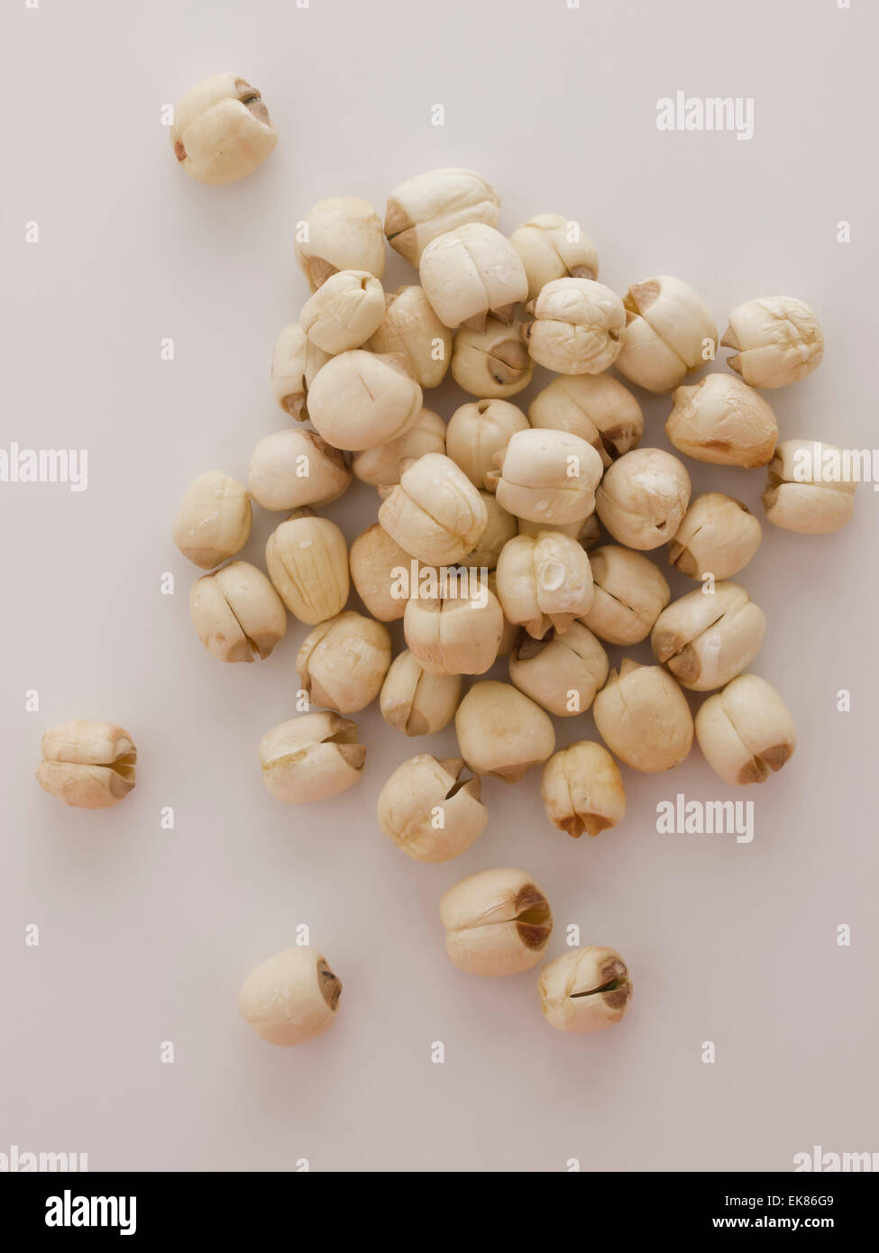 Lotus seeds hi-res stock photography and images - Alamy