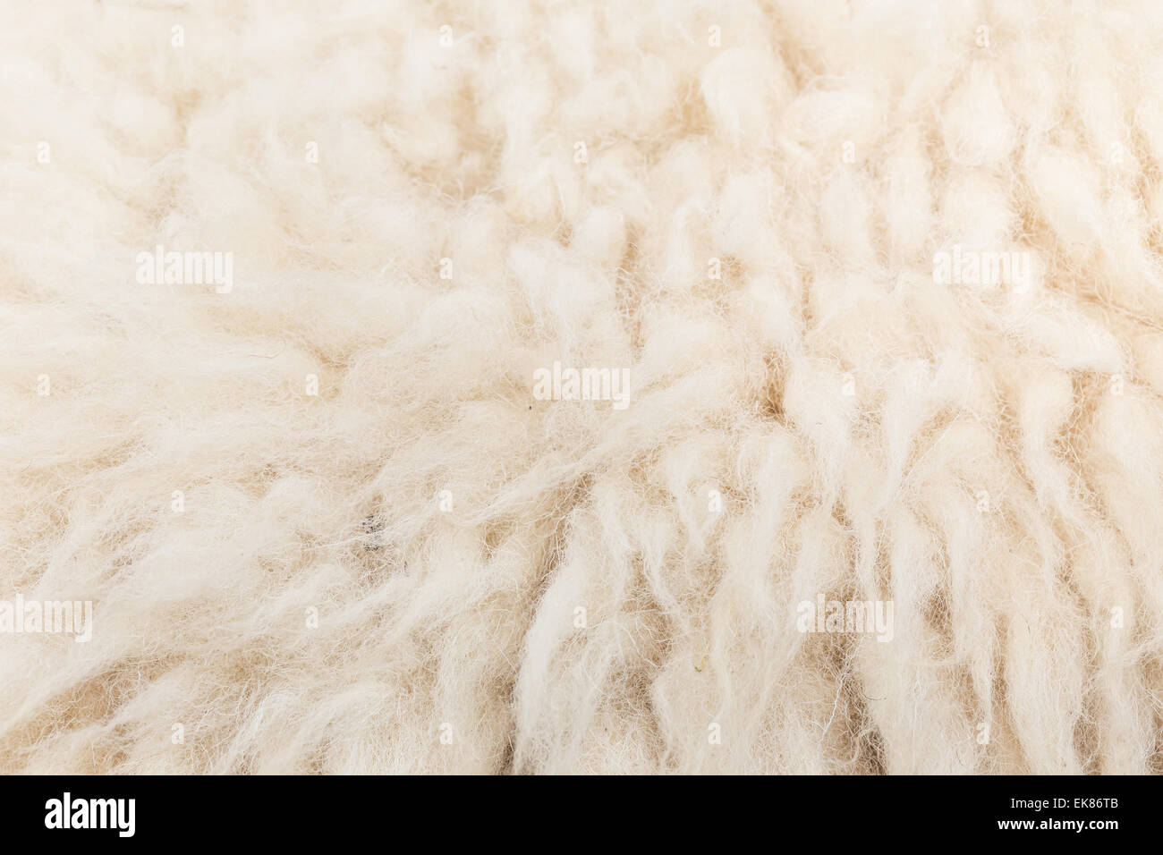 Wool sheep closeup for background Stock Photo - Alamy