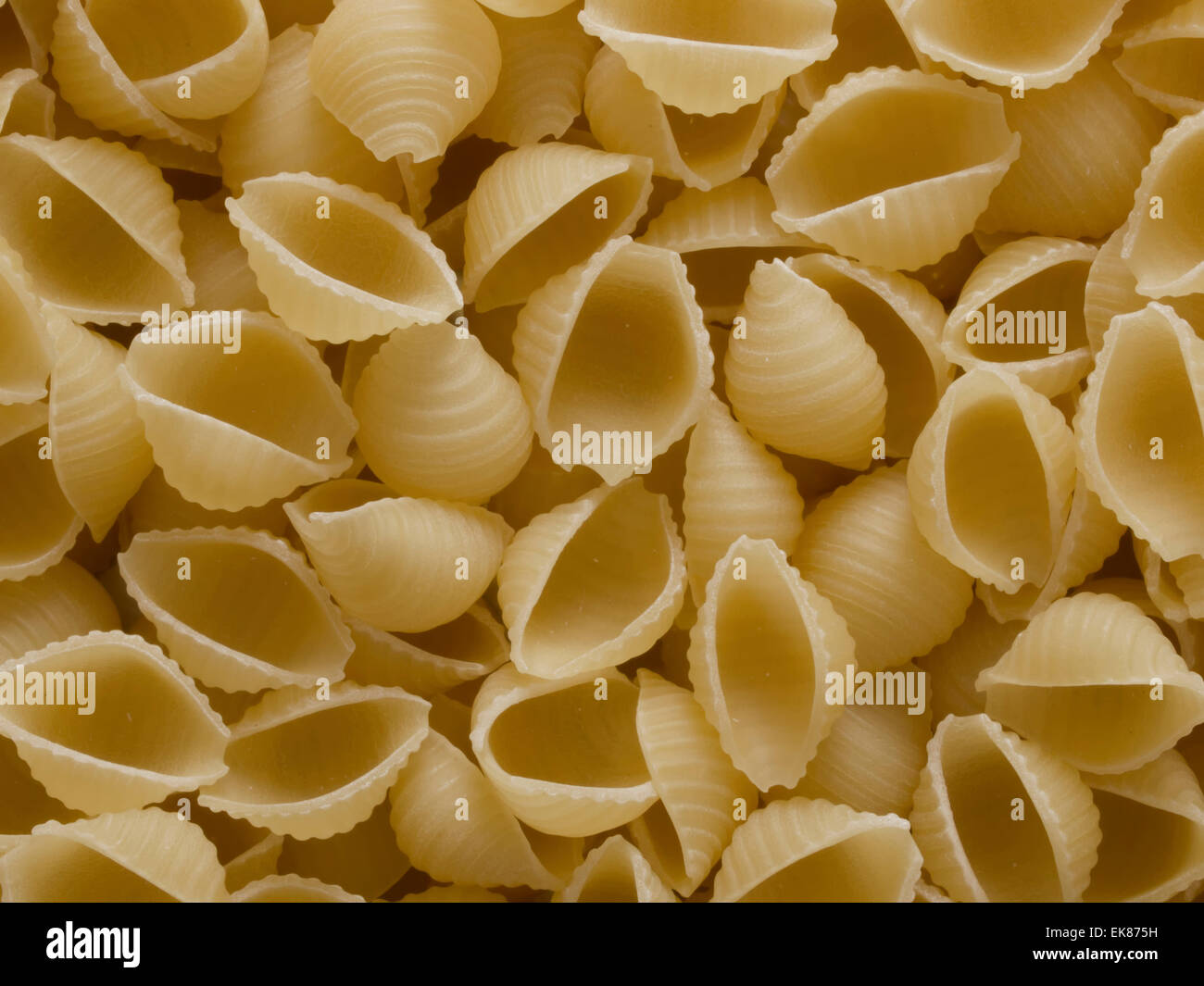 Conchiglie pasta background hi-res stock photography and images - Alamy