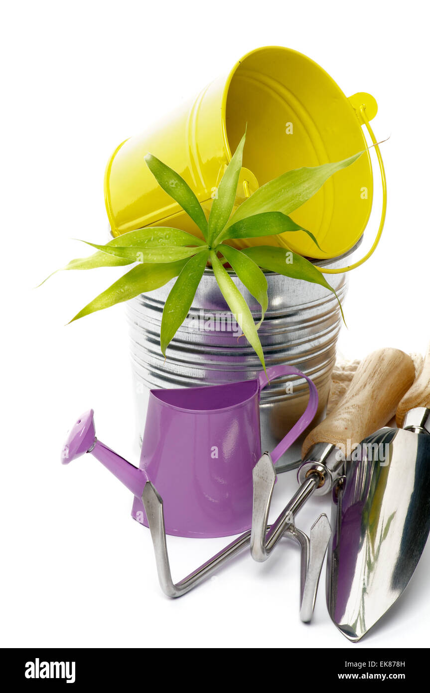 Watering Can with Gardening Tools Stock Photo - Alamy