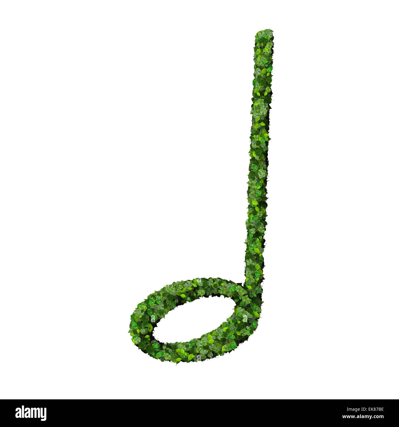 Musical note minim symbol made from green leaves isolated on white ...