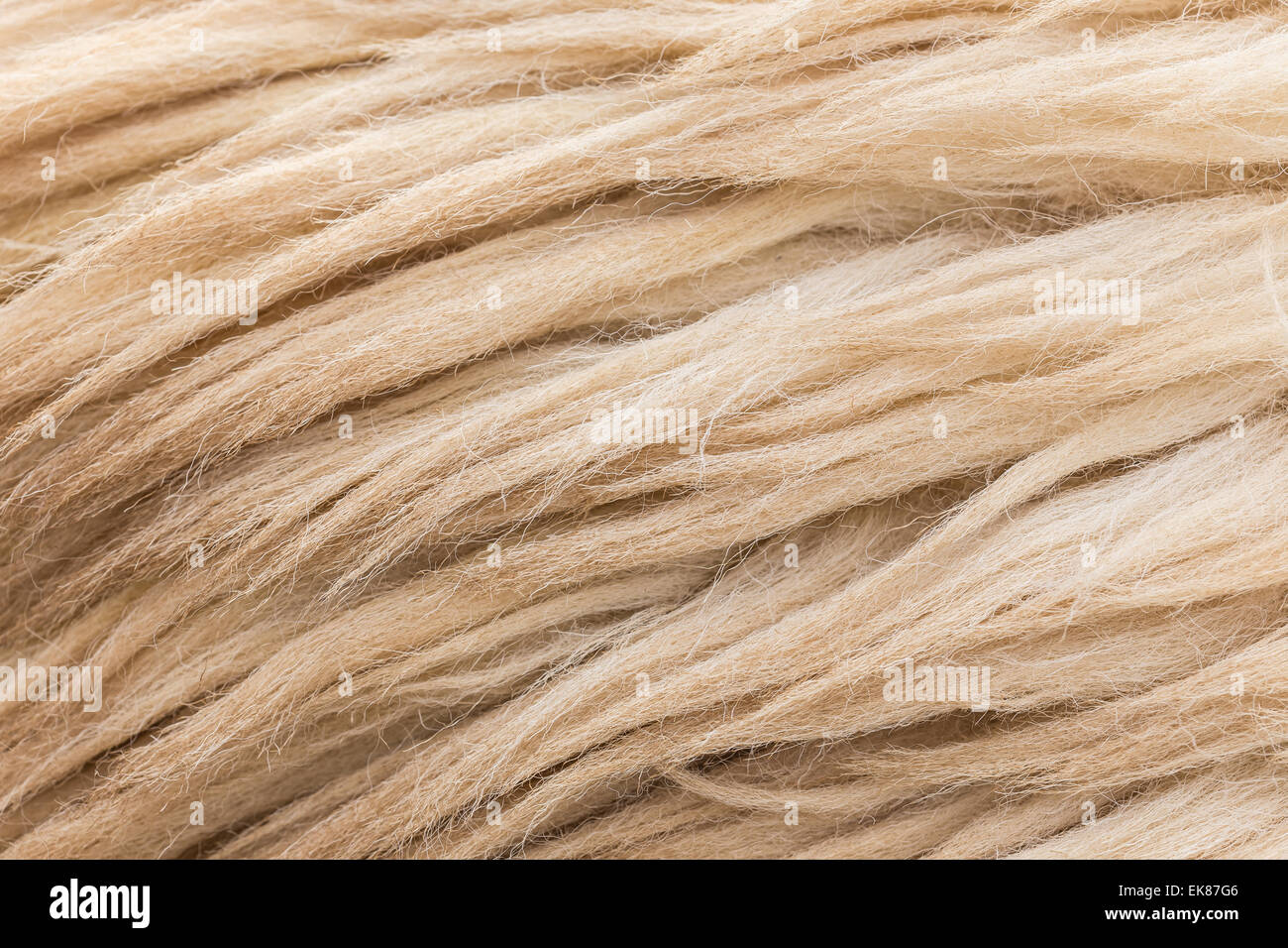 Wool sheep closeup for background Stock Photo - Alamy