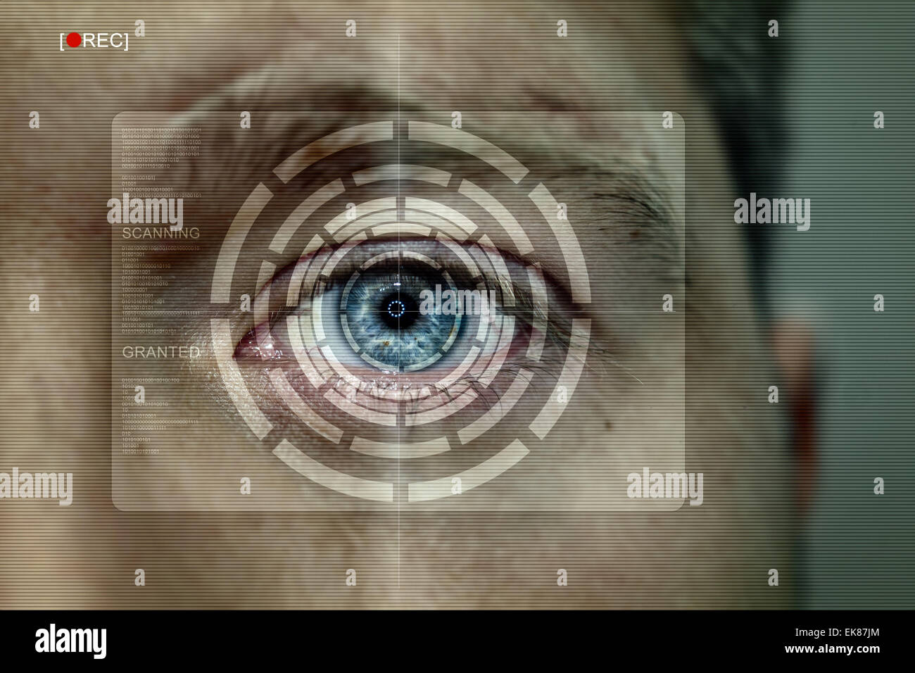 Iris recognition hi-res stock photography and images - Alamy Iris recognition hi-res stock photography and images - Alamy