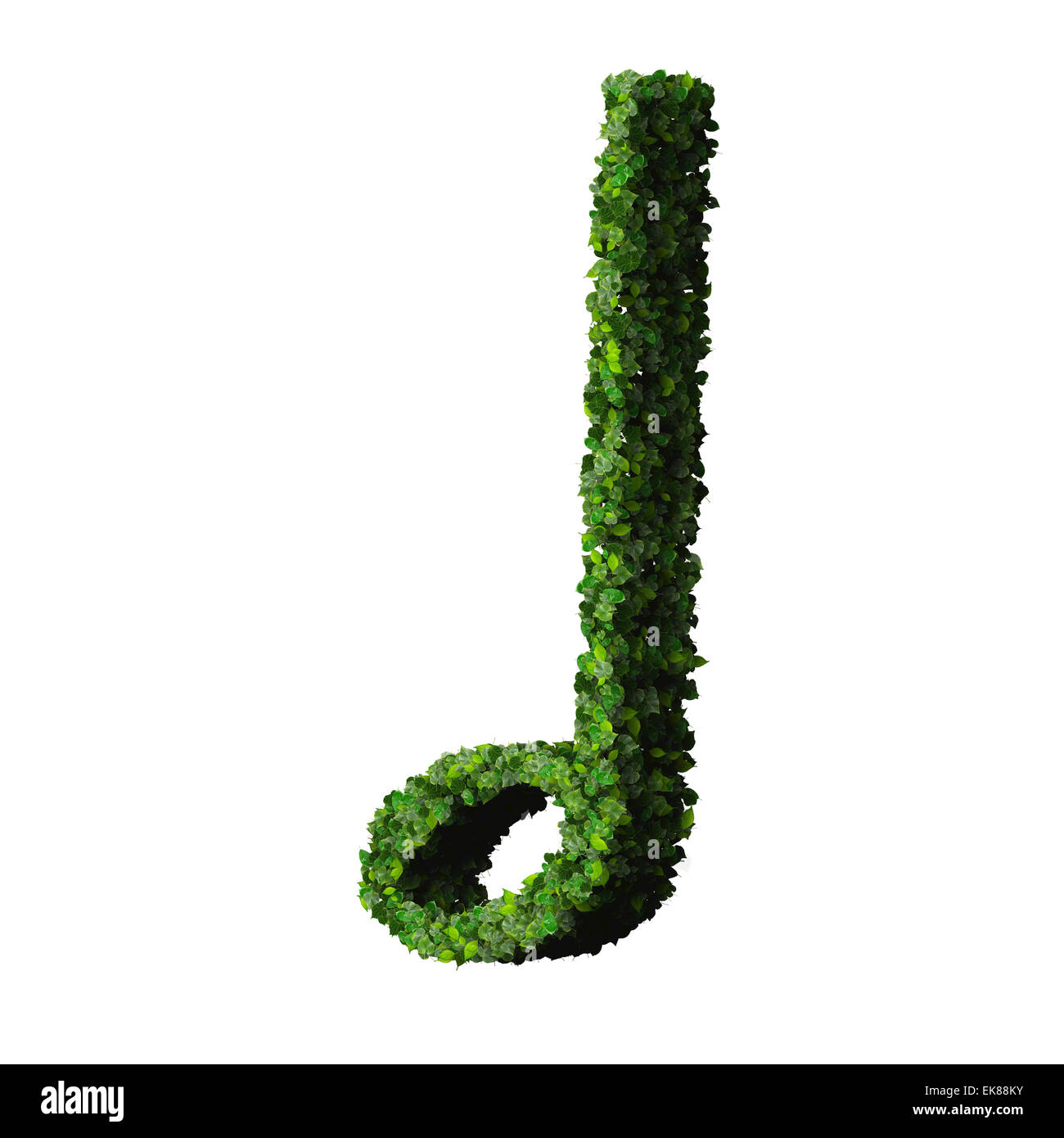 Musical note minim symbol made from green leaves isolated on white ...