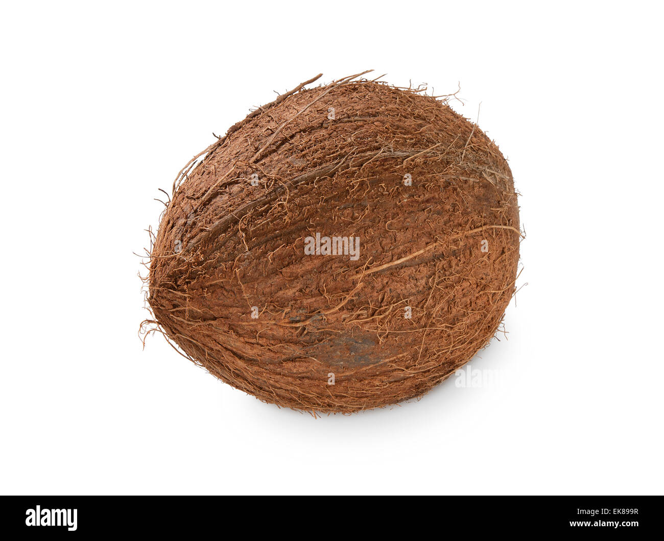 Hairy coconut hi-res stock photography and images - Alamy
