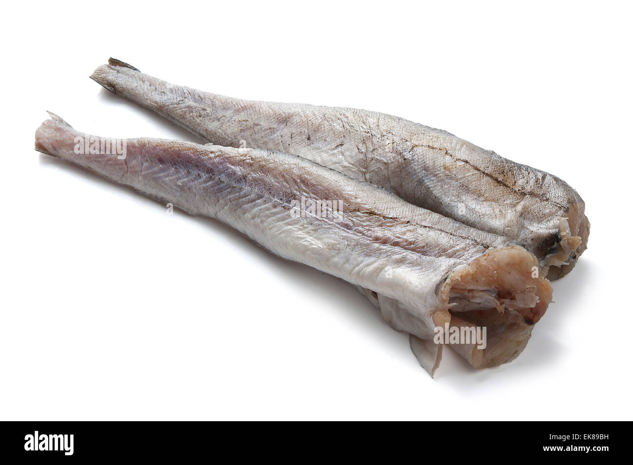 Pollack fish hi-res stock photography and images - Alamy