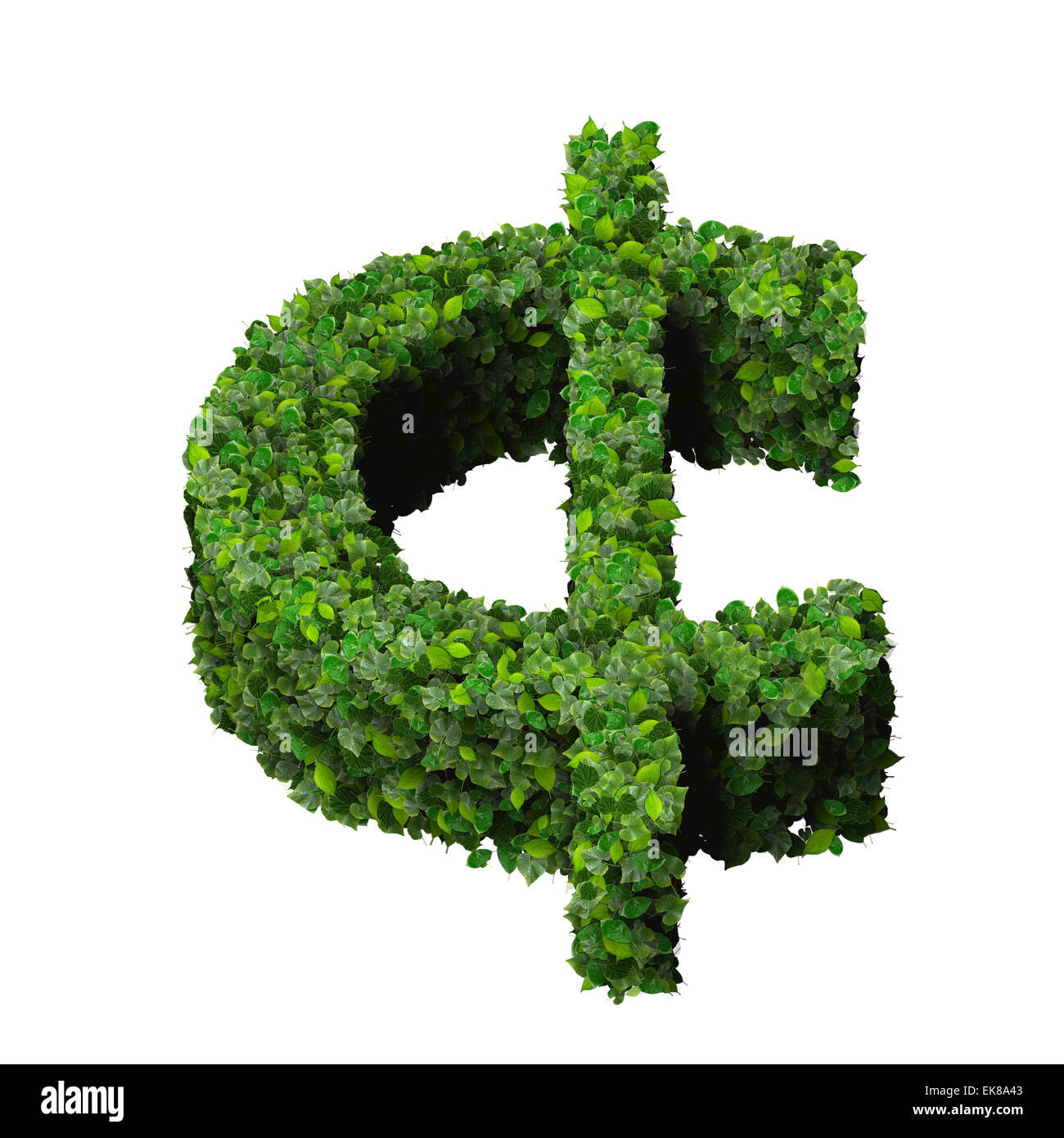 Cent (currency) symbol or sign made from green leaves isolated on white ...