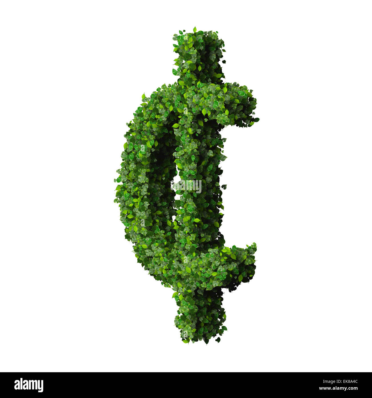 Cent (currency) symbol or sign made from green leaves isolated on white ...