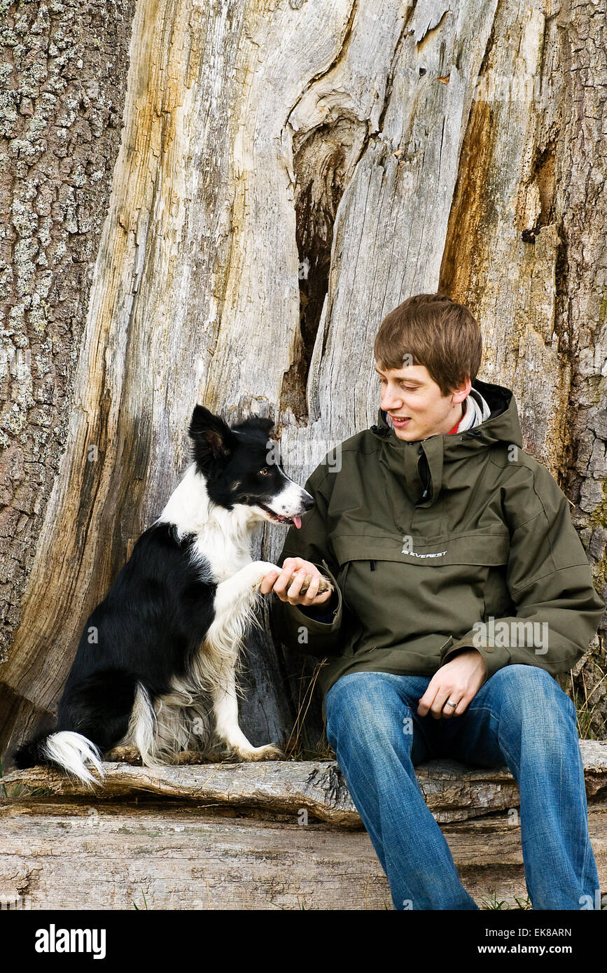 man with his border collie shaking hands Stock Photo - Alamy
