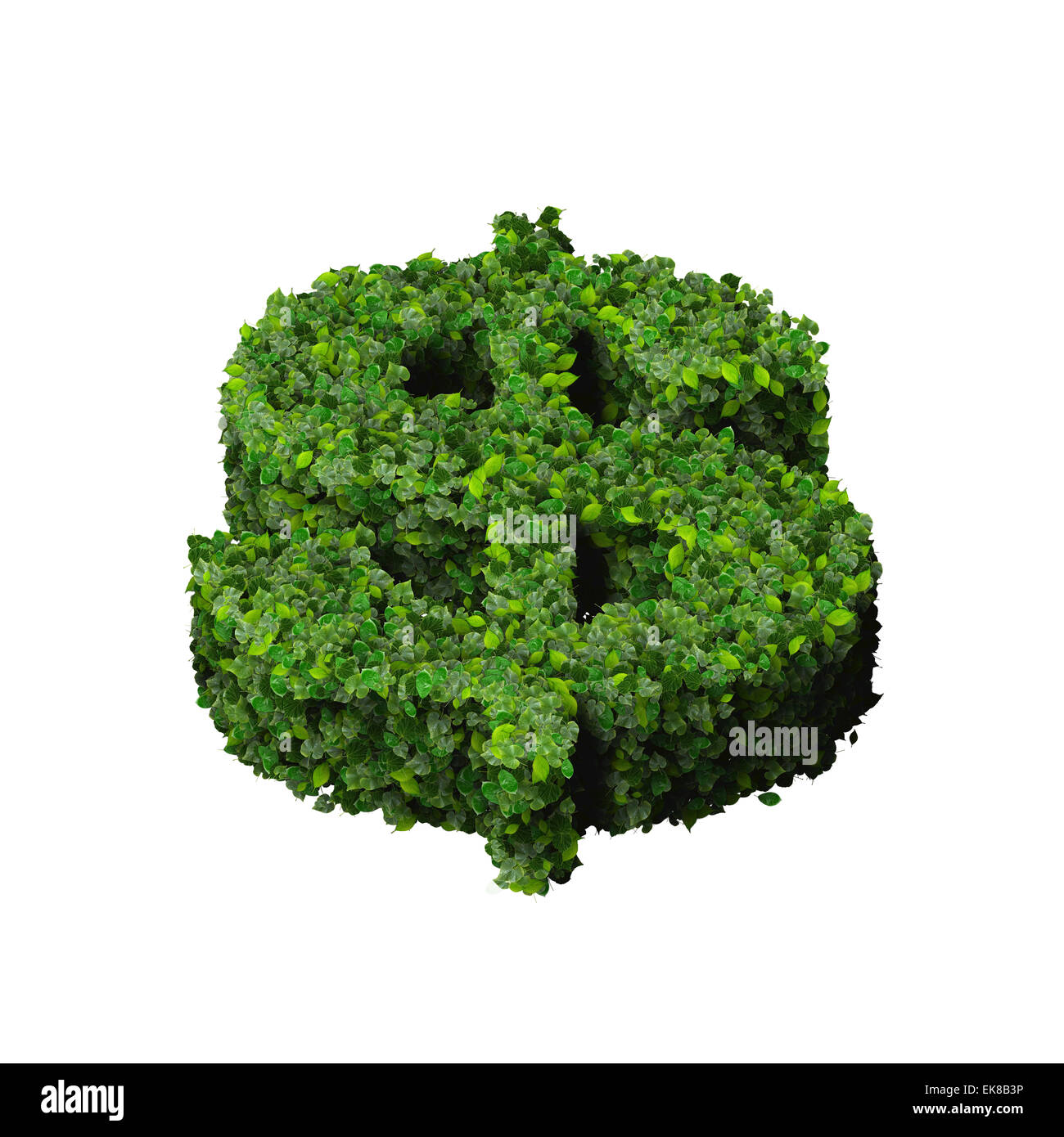 Dollar (currency) symbol or sign made from green leaves isolated on ...