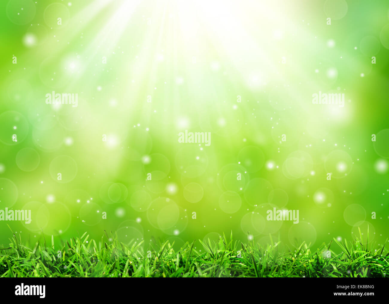 abstract green nature background Stock Photo - Alamy