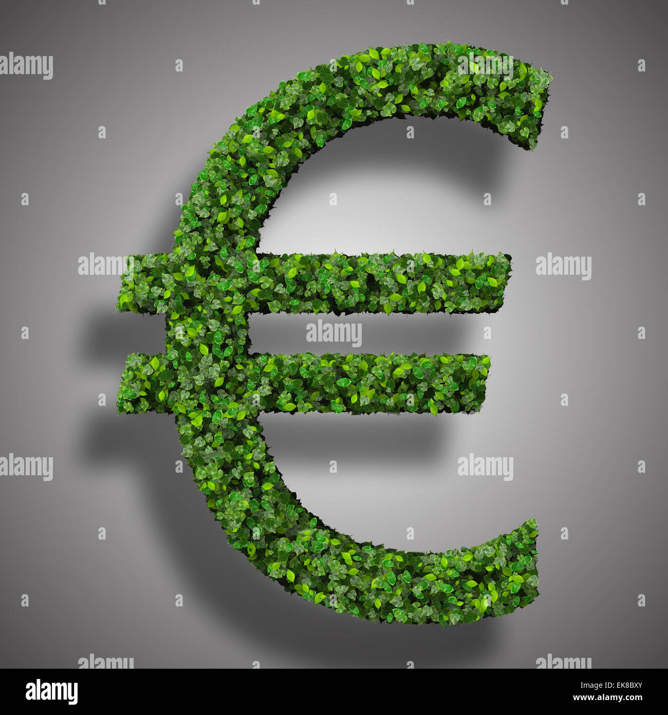 Euro (currency) symbol or sign made from green leaves isolated on white ...