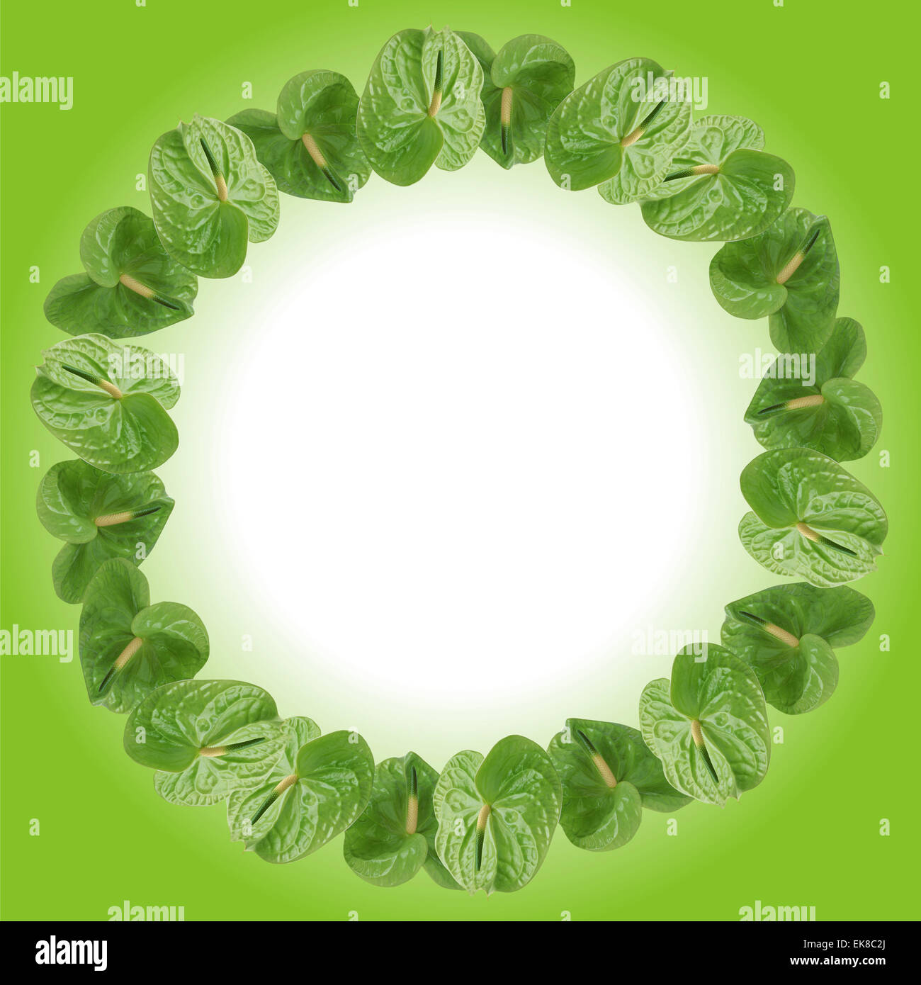 Plants border, oval green background Stock Photo - Alamy