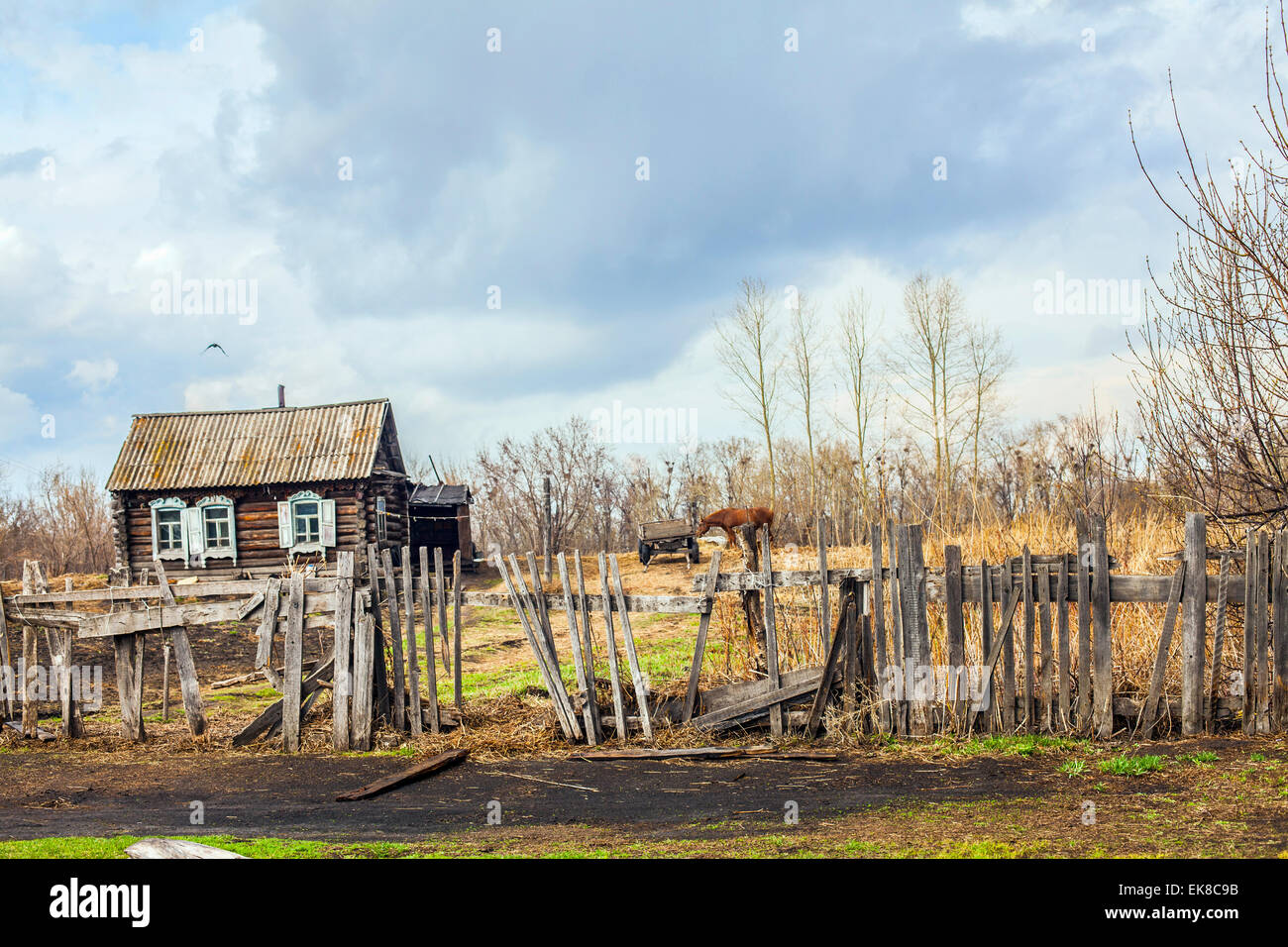 Russian countryside hi-res stock photography and images - Alamy