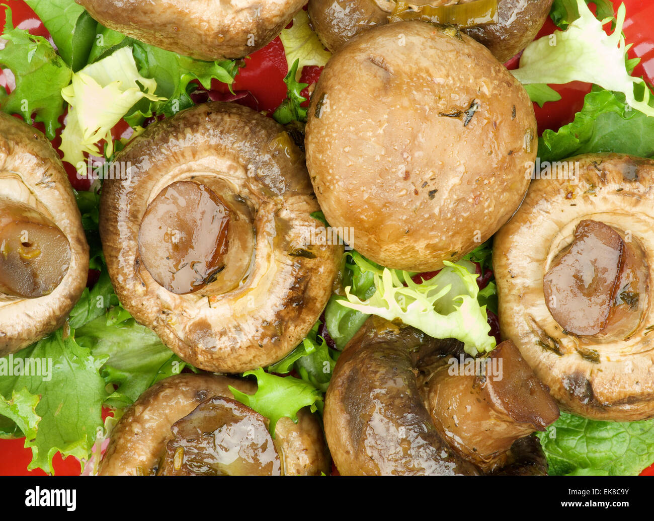 Gold top mushrooms hi-res stock photography and images - Alamy