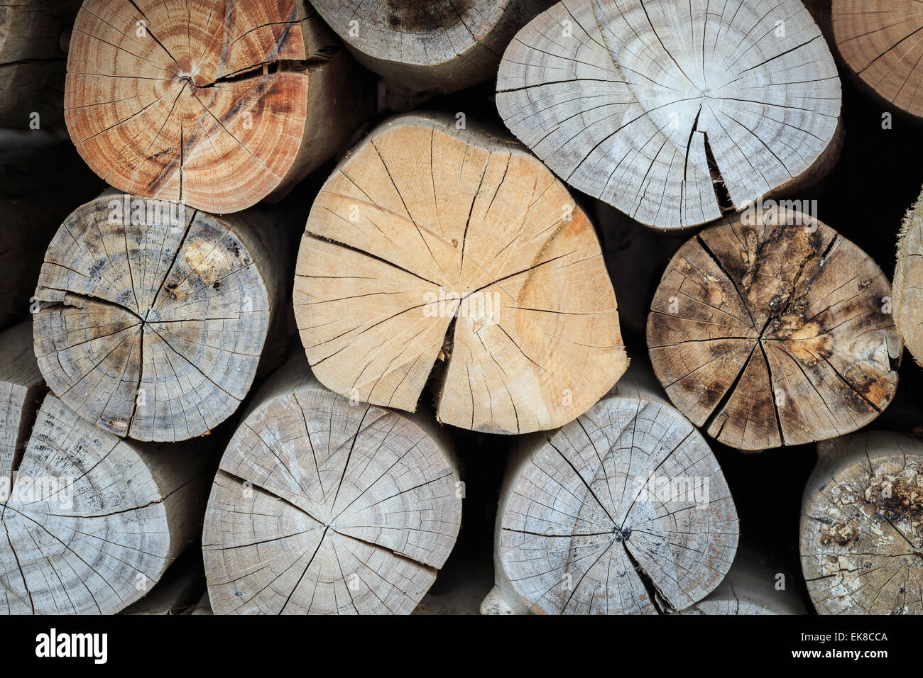 Stacked Logs Texture, Natural Background Stock Photo - Alamy